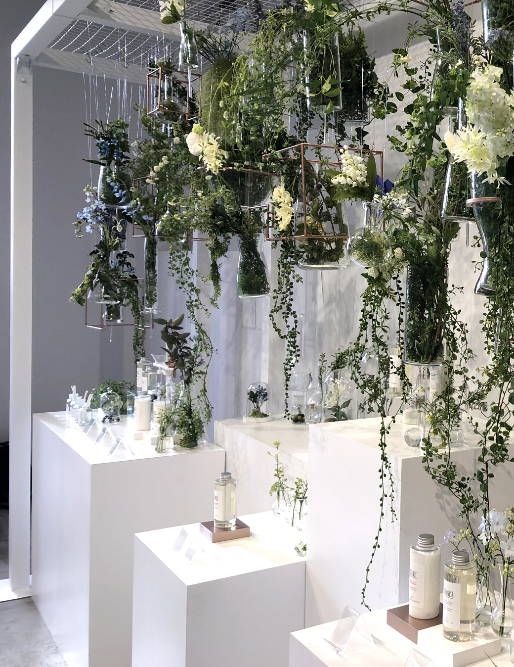 BOTANIST [BOTANICAL PARTY] | Propeller & Co.